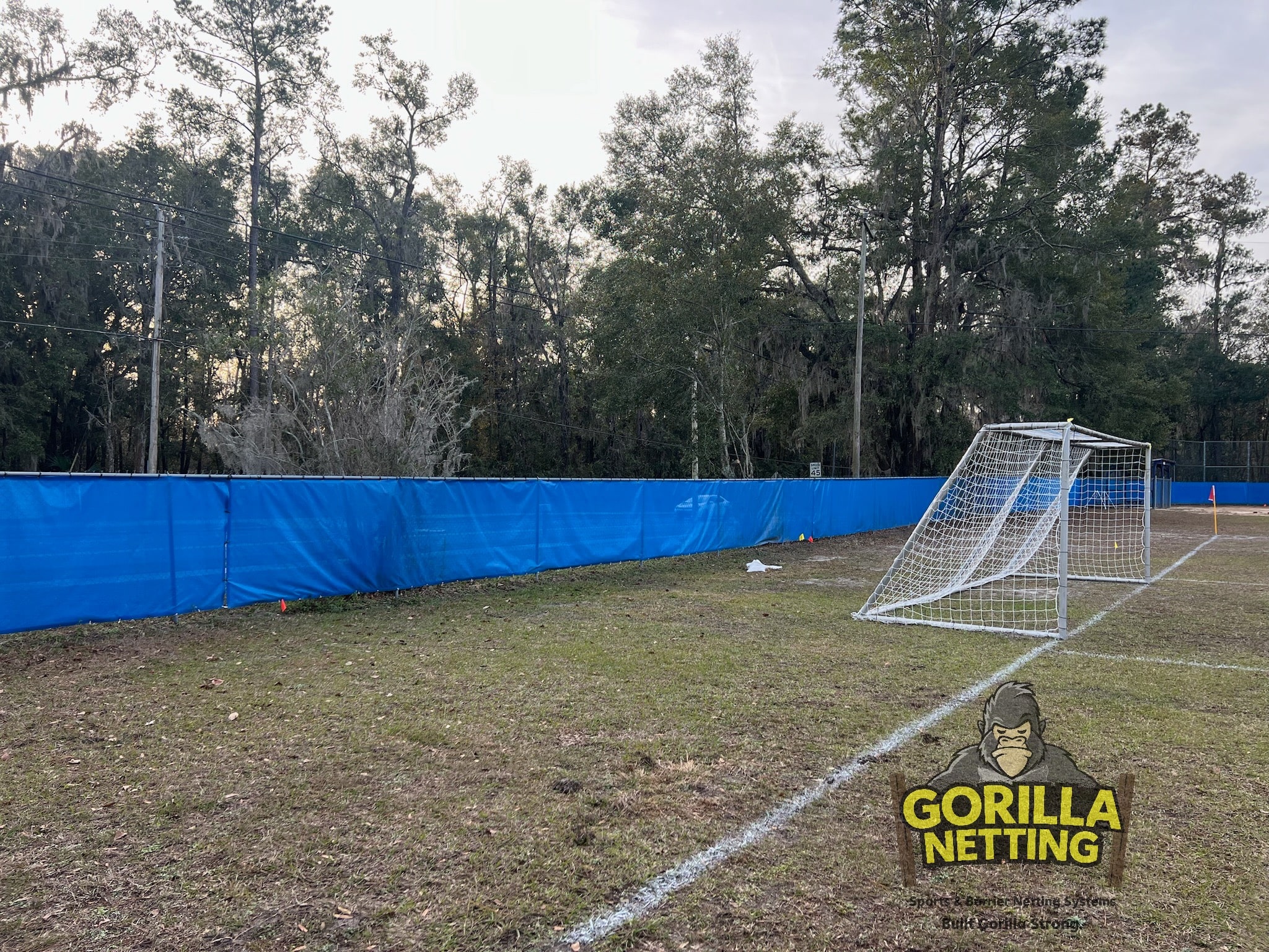 Pitch Perfect Safety: Soccer Field Protection And Ball Containment At ...